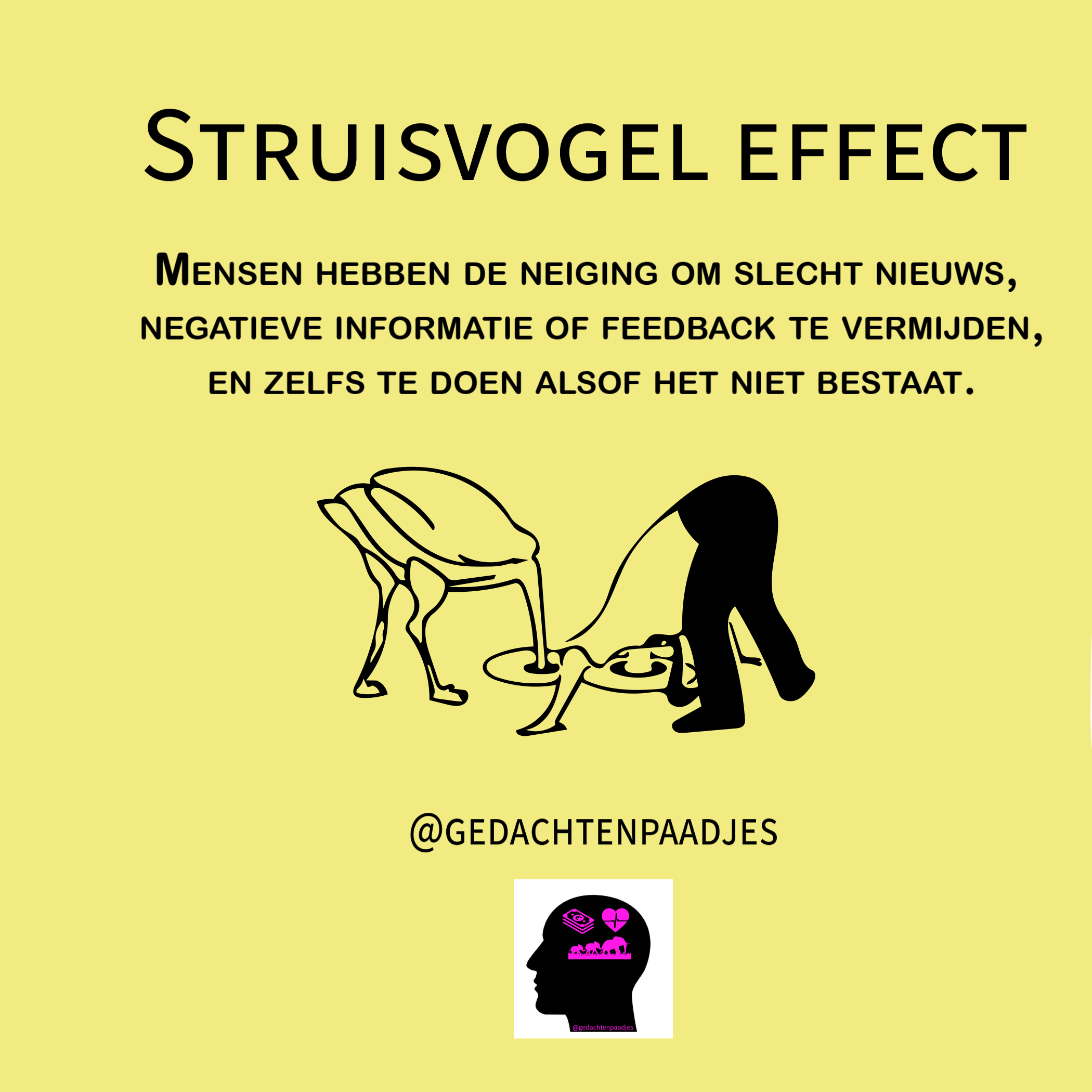Alle cognitive biases uit de gedragspsychologie uitgelegd: het ...